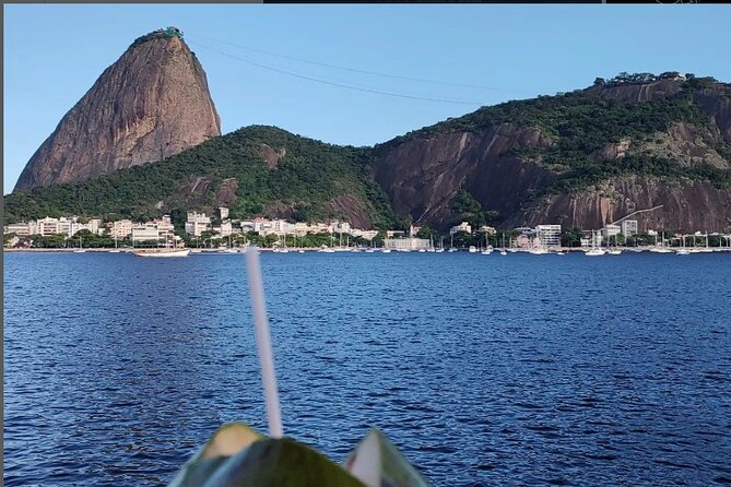 Private and Customizable Tour in Rio De Janeiro - Customization and Flexibility