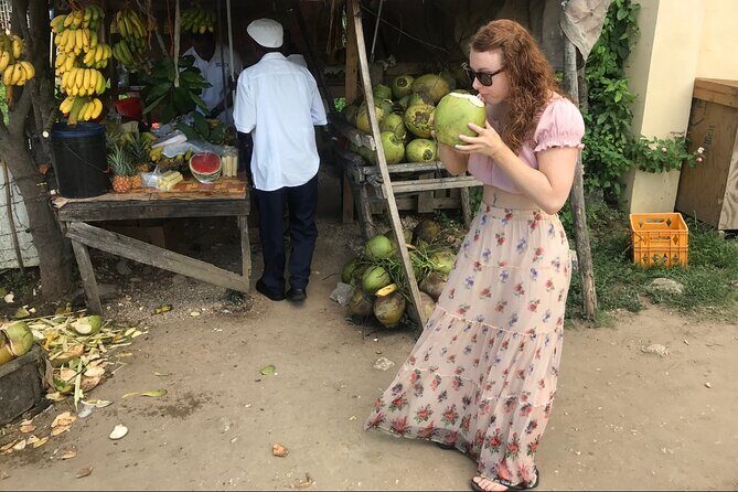 Private and Customize Highlight Tour to Montego Bay from Falmouth - The Basics: What You’re Getting