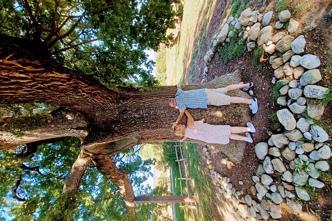 Private and Guided Day Visit to Beautiful Tuscany from Rome - FAQ