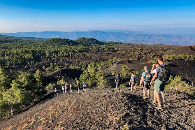 Private and Guided Tour on Etna With Wine Tasting Included - Transportation & Accessibility