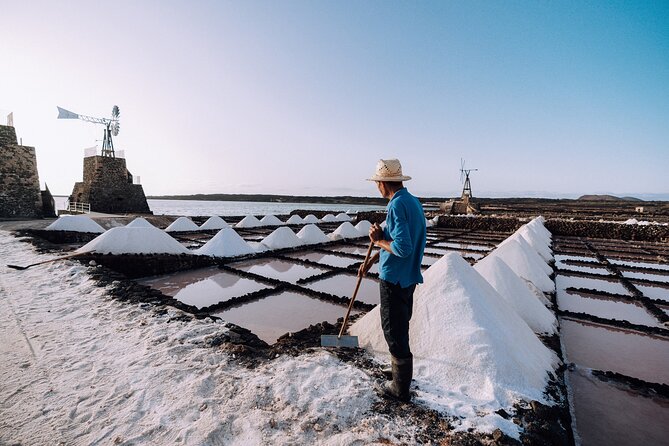 Private and Guided Tour to the Salinas De Janubio With Tasting - The Tasting Experience: Flor De Sal and Local Flavors