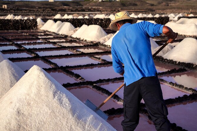 Private and Guided Tour to the Salinas De Janubio With Tasting - Expert Guides: Knowledge and Engagement