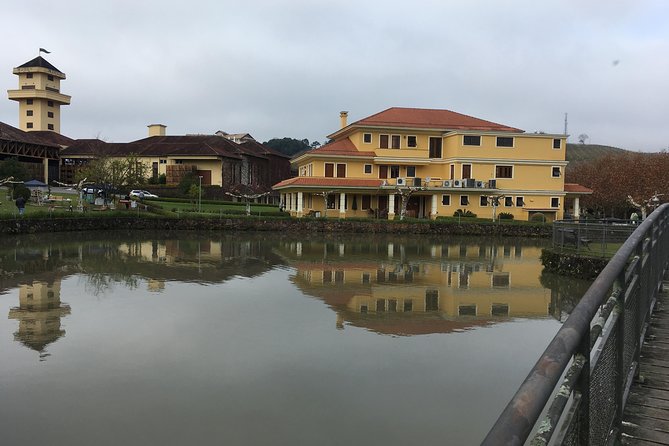 Private and Personalized Tour in Bento Gonçalves RS - Car up to 4 People - Pickup and Itinerary