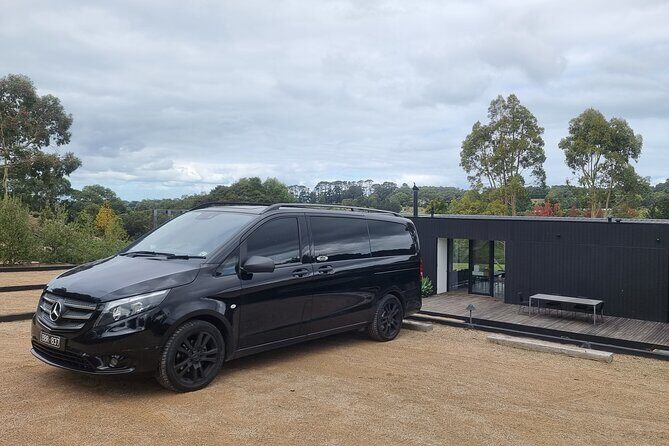 Private and Tailored Mornington Peninsula Wine Tour - Who Will Love This Tour?