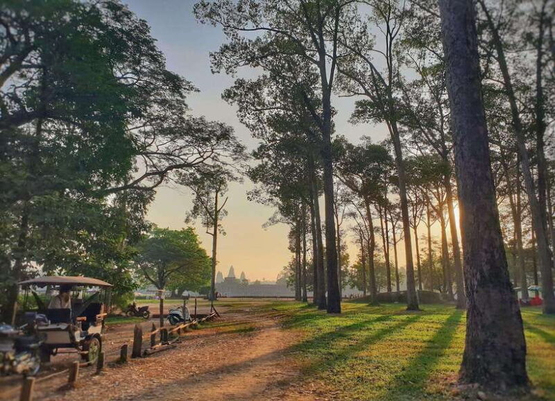 Private Angkor Park Guided Tour (Must-Visit Temples) - The Itinerary and Its Highlights