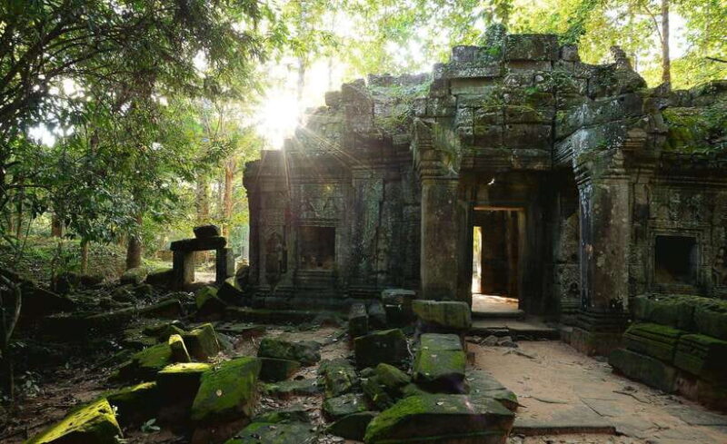 Private Angkor Park Guided Tour (Must-Visit Temples) - Authentic Experiences and Reviewer Insights