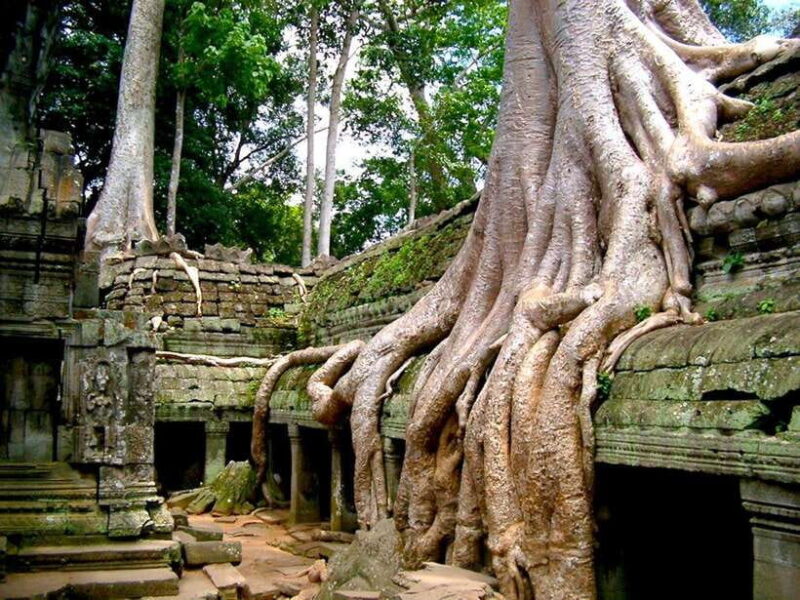 Private Angkor Sunrise, Guide Breakfast and Tuktuk included - The Realities of the Tour