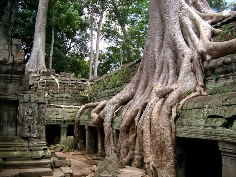 Private Angkor Sunrise, Guide Breakfast and Tuktuk included - FAQ