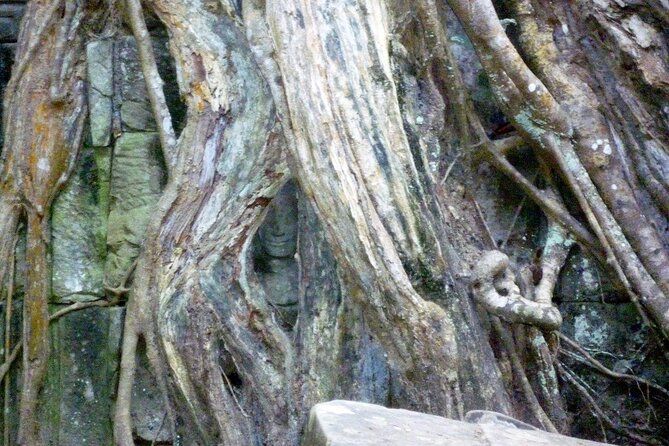 Private Angkor Wat One Day Tour - Best of Angkor - Who Would Benefit Most