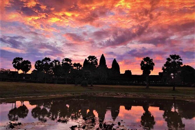 Private Angkor Wat Sunrise Bayon Ta Prohm - Exploring the Tour: A Deep Dive