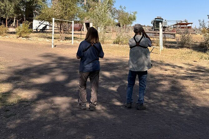 Private Antelope Island & Great Salt Lake Tour - Key Points