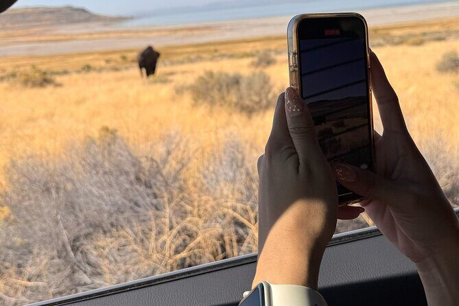 Private Antelope Island & Great Salt Lake Tour - Navigating the Experience