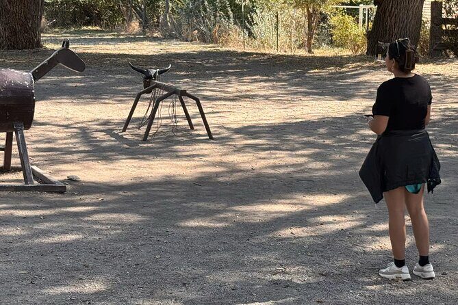 Private Antelope Island & Great Salt Lake Tour - Who Should Consider This Tour?