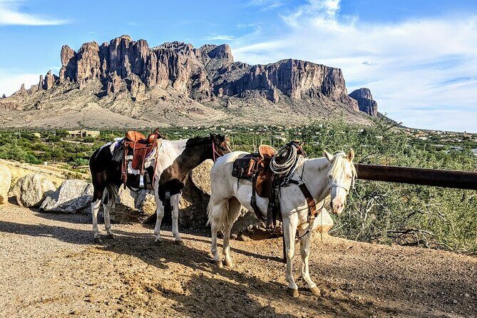 Private Apache Trail Tour with Canyon Lake Cruise - The Value and Practicalities