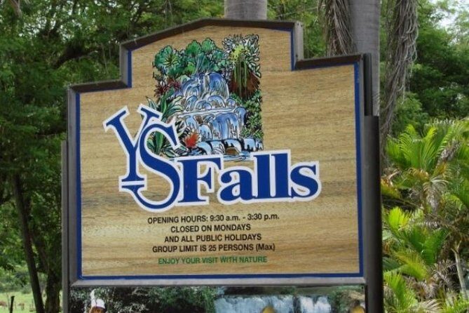 Private Appleton Estate Rum & YS Falls Tour from Montego Bay - Practical Tips for Making the Most of Your Day