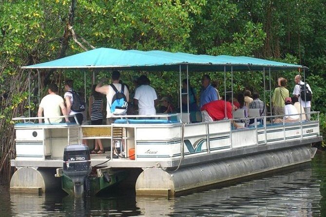 Private Appleton YS Falls and Black River Tour from Montego Bay - What the Tour Includes