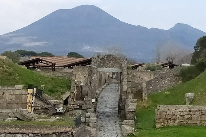 Private Archaeologist Service to Explore Pompeiis Secrets Any Time Ticket Incl. - Customer Reviews and Testimonials