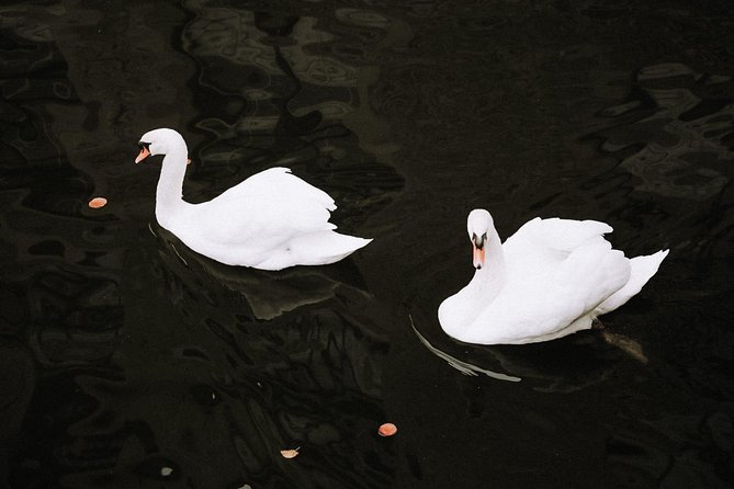 Private Architectural Tour of Bruges - Key Points