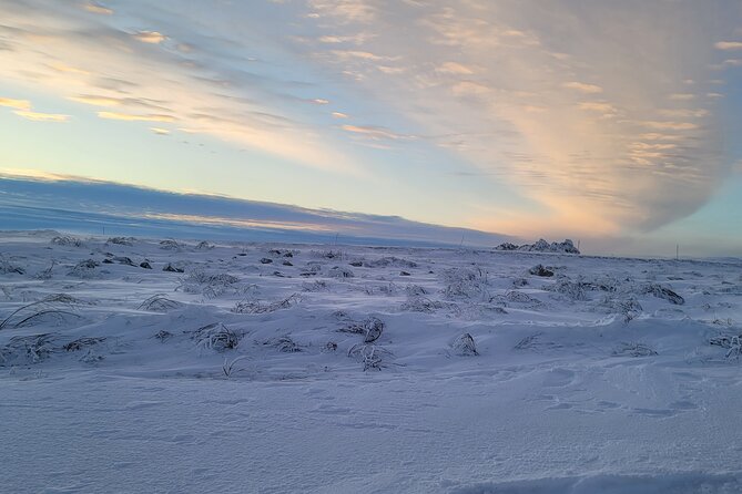 Private Arctic Circle Expedition From Fairbanks - Customer Reviews and Feedback