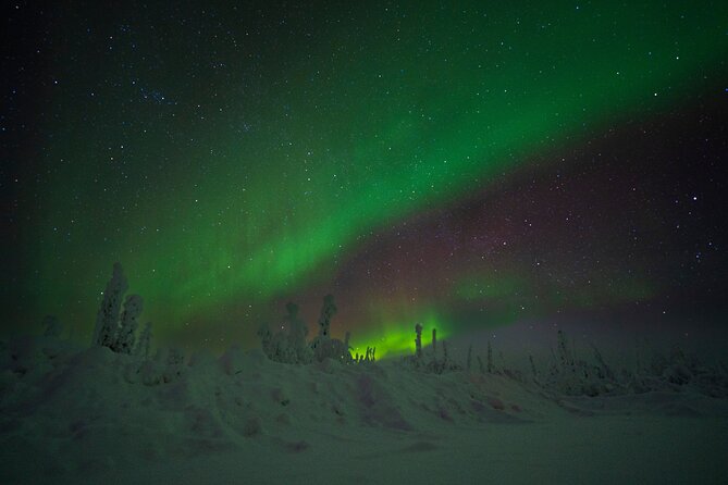 Private Arctic Circle Expedition From Fairbanks - Recommendations for Travelers