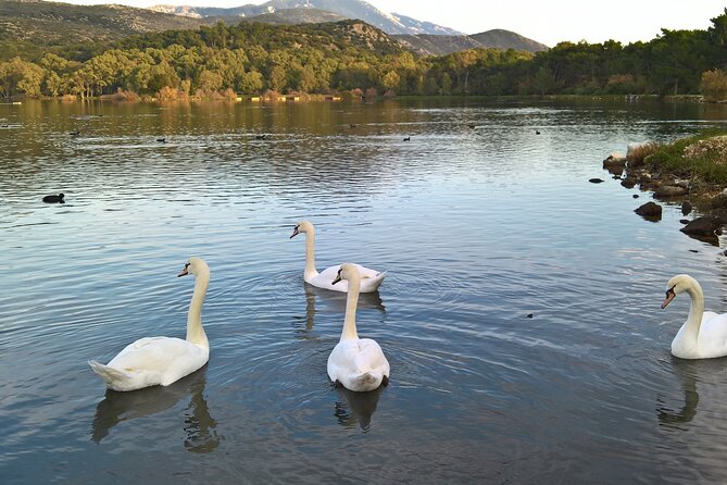Private Argostoli Walking Experience - Assessing the Value and Practicalities