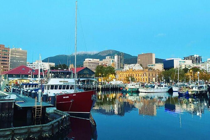 Private Arrival or Departure Hobart Airport Transfer - A Closer Look at the Transfer Experience