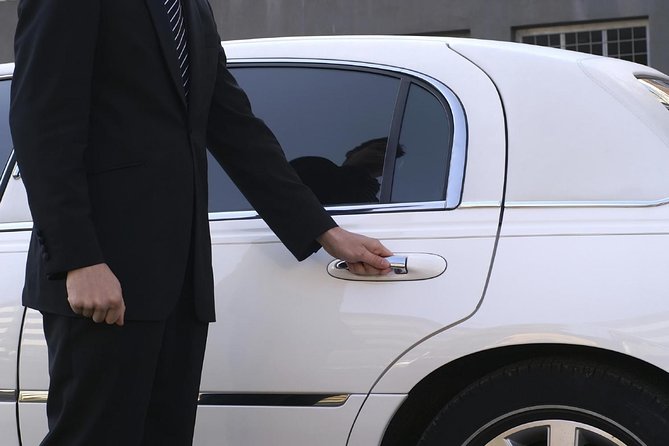 Private Arrival Transfer: Ezeiza Airport to Buenos Aires Hotels - Booking and Pricing Details