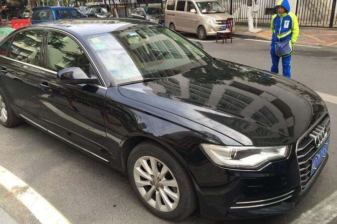 Private Arrival Transfer from Beijing Capital Airport to Hotel - Who Is This Transfer Best For?