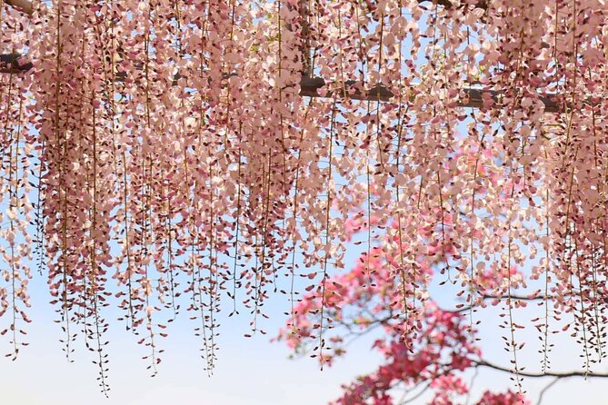 Private Arrival Transfer From Osaka Itami Airport(ITM) to Central Osaka City - Customizable Private Transfer Service