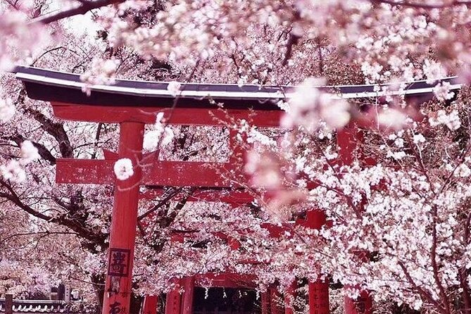 Private Arrival Transfer From Osaka Itami International Airport to Kyoto City - Vehicle and Accessibility Features