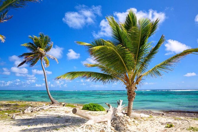 Private Arrival Transfer from Punta Cana airport (PUJ) to Punta Cana - Key Points