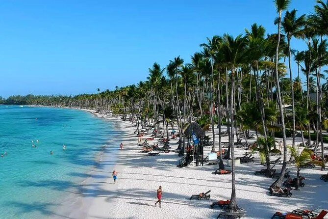 Private Arrival Transfer from Punta Cana airport (PUJ) to Punta Cana - Why This Transfer Stands Out