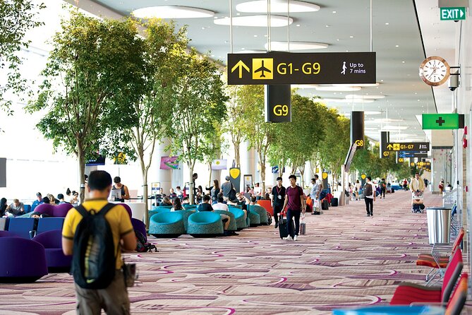 Private Arrival Transfer From Singapore Airport or Port to Hotel - What to Expect in Terms of Service