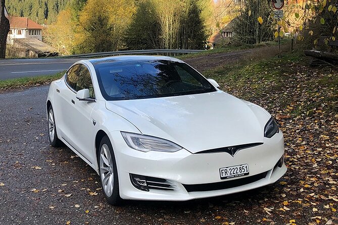 Private Arrival Transfer: From Zurich Airport to Lucerne - Customer Feedback and Reviews