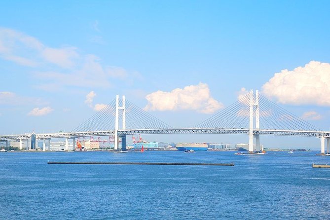 Private Arrival Transfer : Haneda Airport to Yokohama City - Baggage and Passenger Information