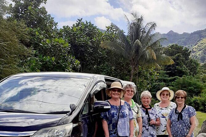 Private Arrival Transfer - Nadi Airport to Port Denarau, Terraces & Palms Apartm - Final Thoughts: Is This Transfer Right for You?
