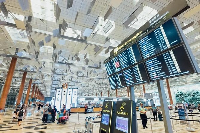 Private Arrival Transfer : Narita International Airport to Central Tokyo City - Baggage and Passenger Information