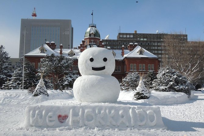 Private Arrival Transfer : New Chitose Airport to Sapporo City - Accessibility Considerations