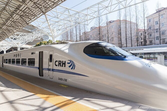 Private Arrival Transfer: Tianjin Cruise Port to Train Stations (Tianjin/Tanggu) - What to Expect from Your Transfer