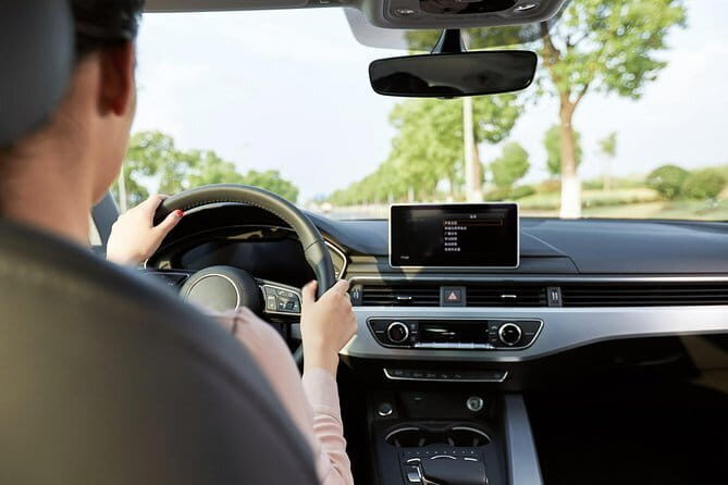 Private Arrival Transfer: Tianjin Cruise Port to Train Stations (Tianjin/Tanggu) - Whats Included and What’s Not