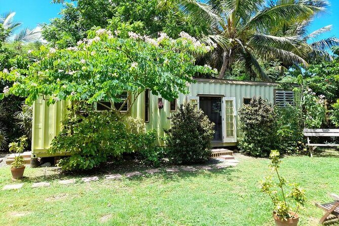 Private Art & Culture Tour in Tortola Virgin Islands - Frequently Asked Questions