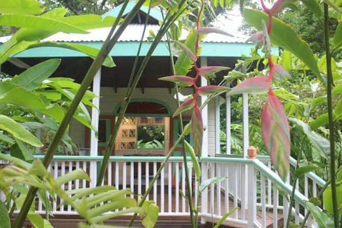 Private Art Tour or Food Tour - Exploring Antigua’s Artistic and Culinary Charms: A Complete Review of the Private Art and Food Tour