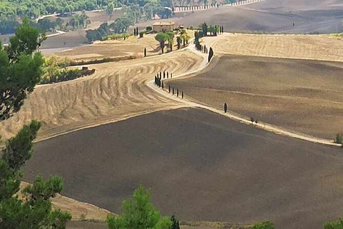 Private Art & Wine Tour in Cortona & Montepulciano, with lunch & 2 wine tastings - Is It Worth the Price?