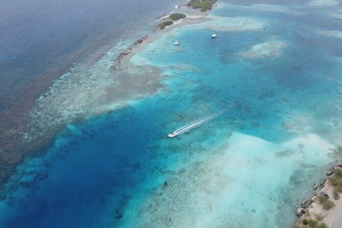 Private Aruba Kayak & Snorkeling Tour + Transortation - The Sum Up: Who Will Benefit Most from This Tour?