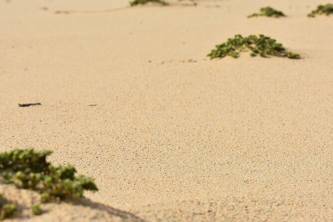 Private Aruba National Park Hiking & Natural Pool Swimming - FAQs