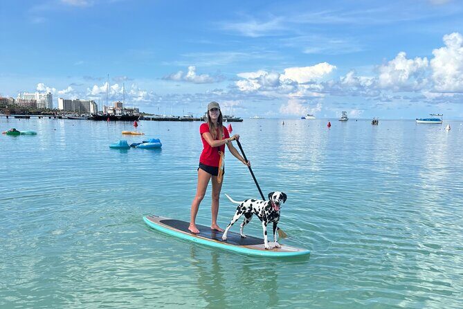 Private Aruba Stand Up Paddleboard Experience - What to Expect from the Private Aruba Paddleboard Tour