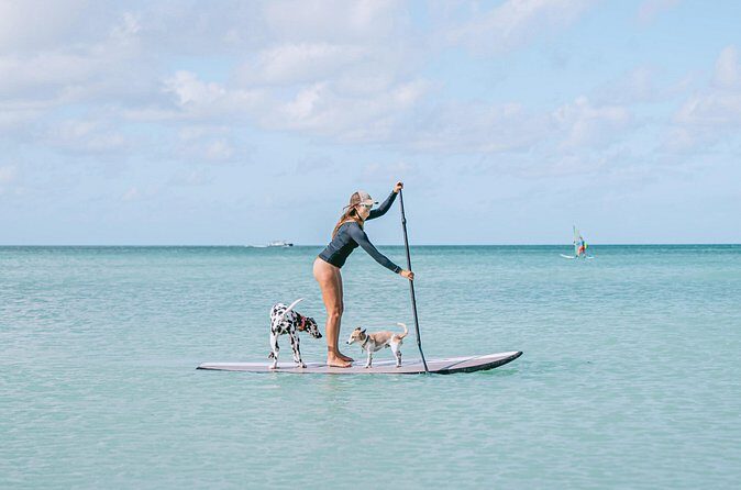 Private Aruba Stand Up Paddleboard Experience - Analyzing the Value and Price Point