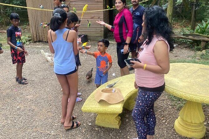 Private ATV and Blue Hole from Ocho Rios - The Sum Up