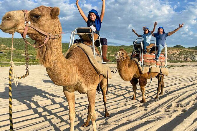 Private ATV and Camel Ride on a White Sand Beach - Key Points