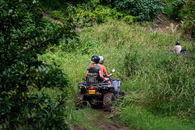 Private ATV or Quad Adventure in Bora Bora - The Sum Up: Who Is This Tour Best For?